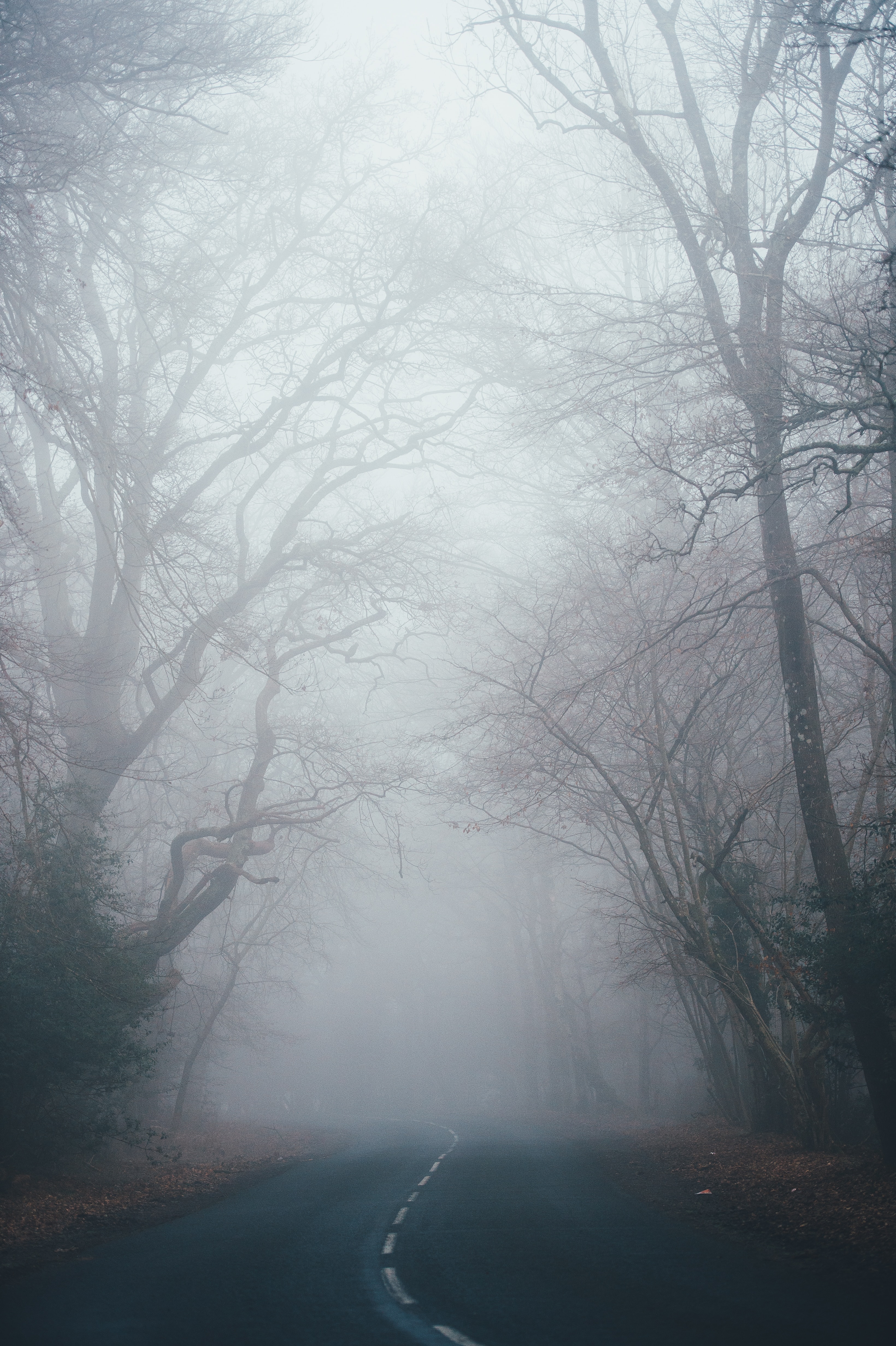 How to use fear as a compass – Rise With Drew