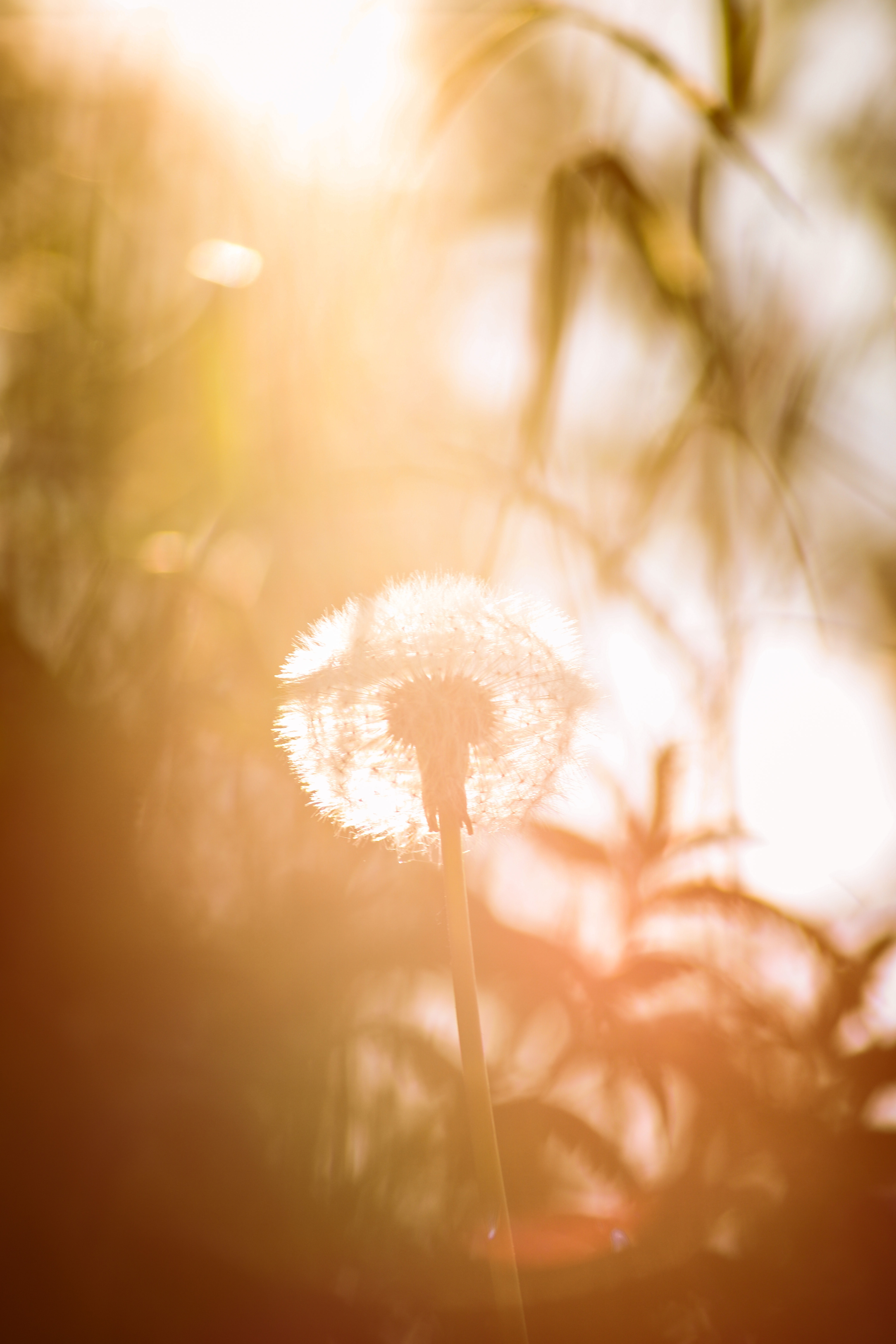 A powerful way to become more grateful – Rise With Drew